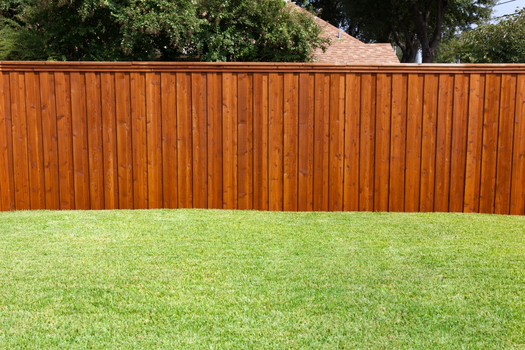 Choosing Between Fences and Hedges for Your Home | Happy Knits