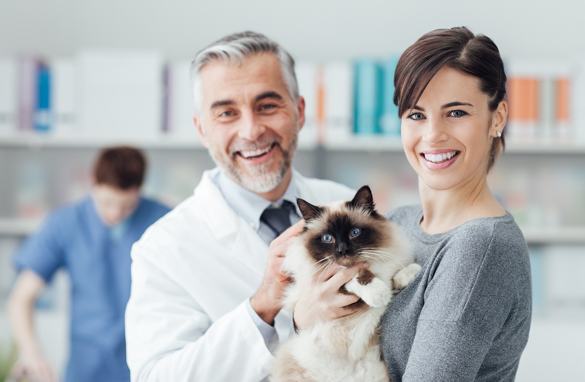 Caring for Your Pet: Tips for Choosing the Right Vet - Happy Knits