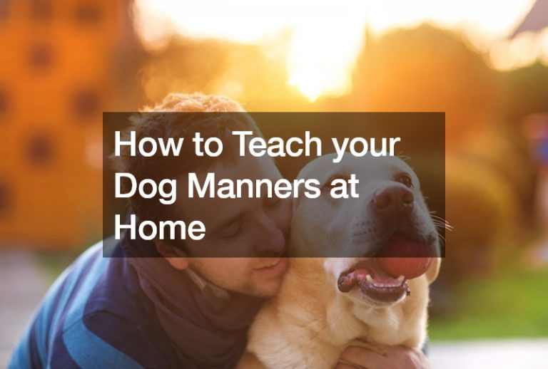 How to Teach your Dog Manners at Home - Happy Knits
