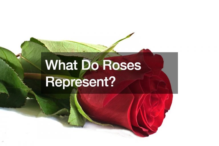 What Do Roses Represent? - Happy Knits