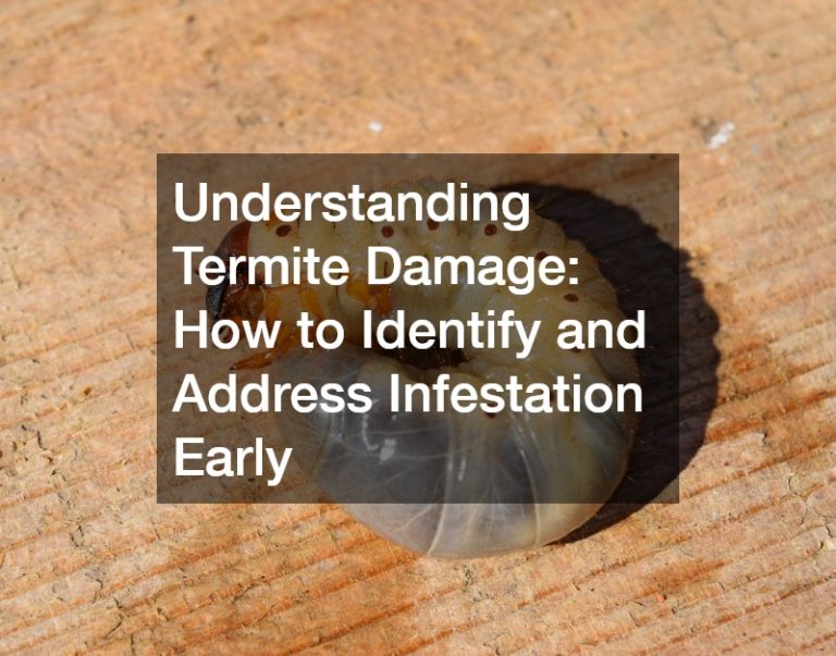 Understanding Termite Damage: How to Identify and Address Infestation ...